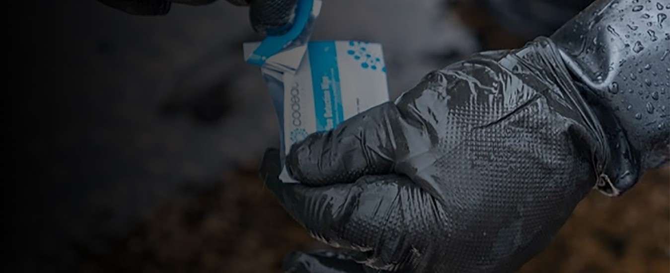 Contact Us | SciWise Solutions Inc.